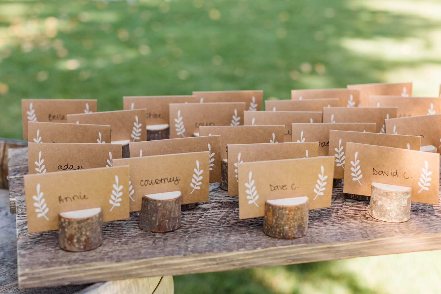 Jewel Basin, Montana Destination Wedding