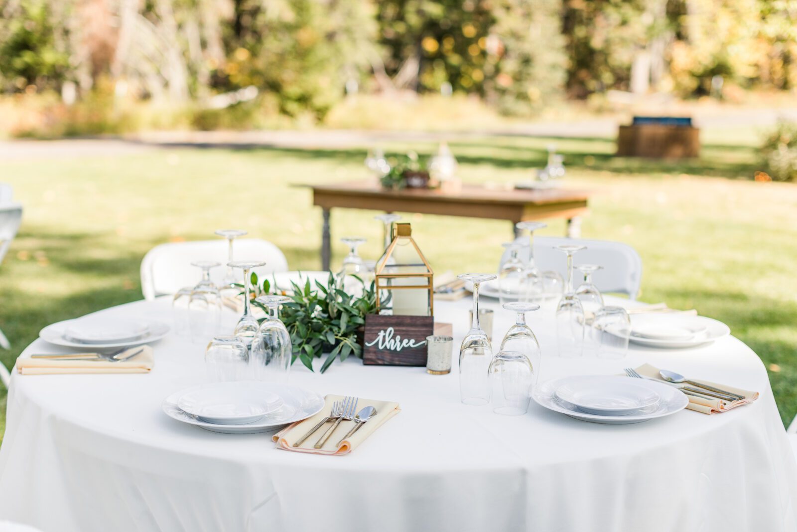 Jewel Basin, Montana Destination Wedding